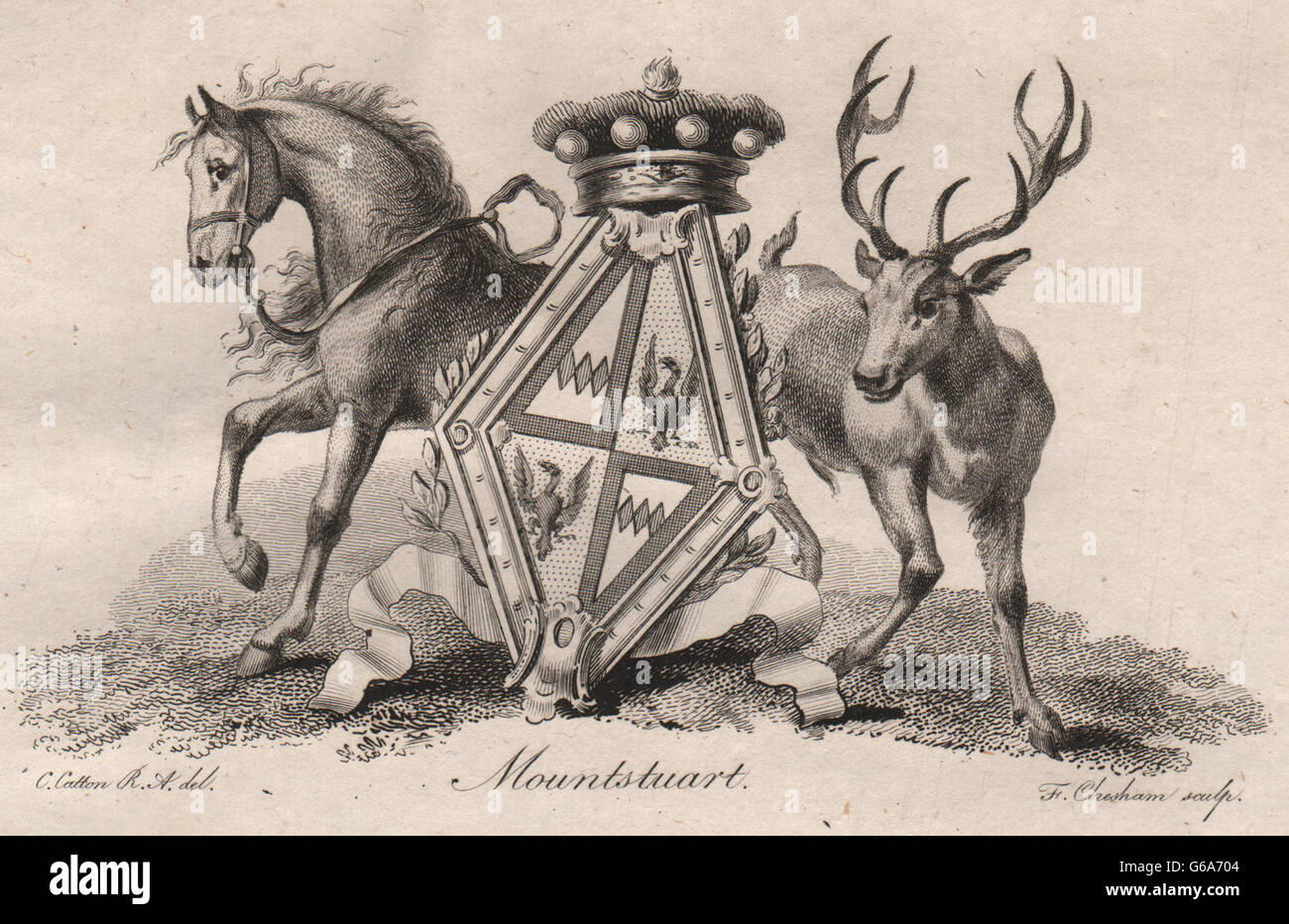 MOUNTSTUART: Coat of Arms. Heraldry, antique print 1790 Stock Photo - Alamy