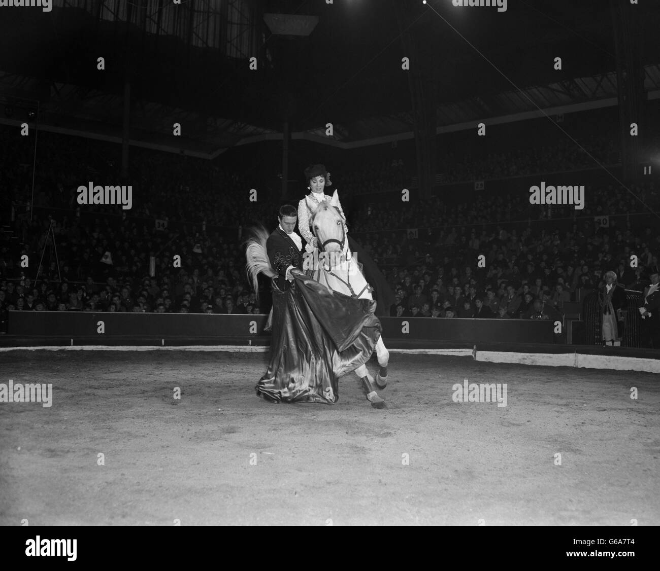 Bertram Mills Circus Stock Photos & Bertram Mills Circus Stock Images ...