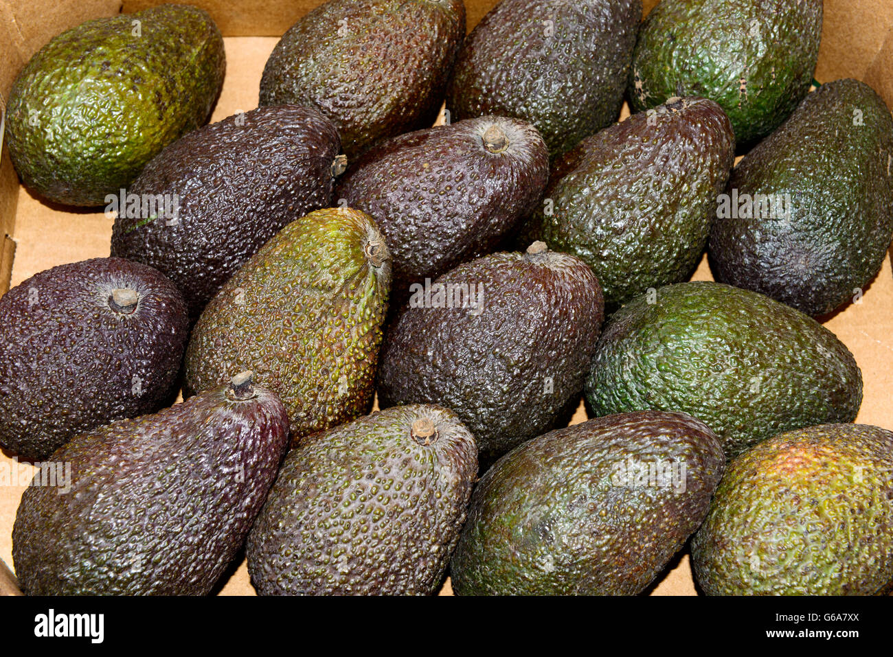 Avocados in crate hi-res stock photography and images - Alamy