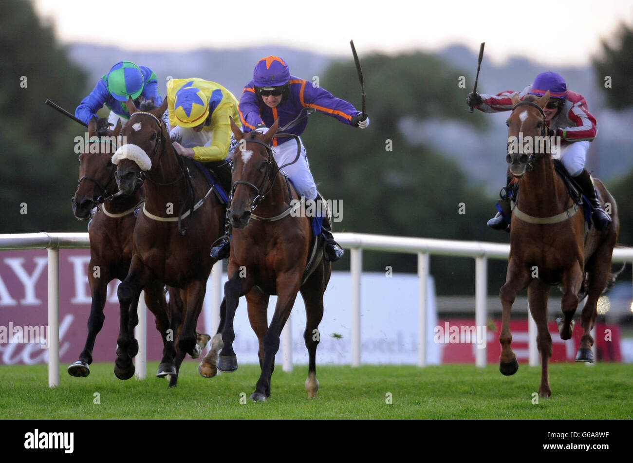 Horse wicklow brave hi-res stock photography and images - Alamy