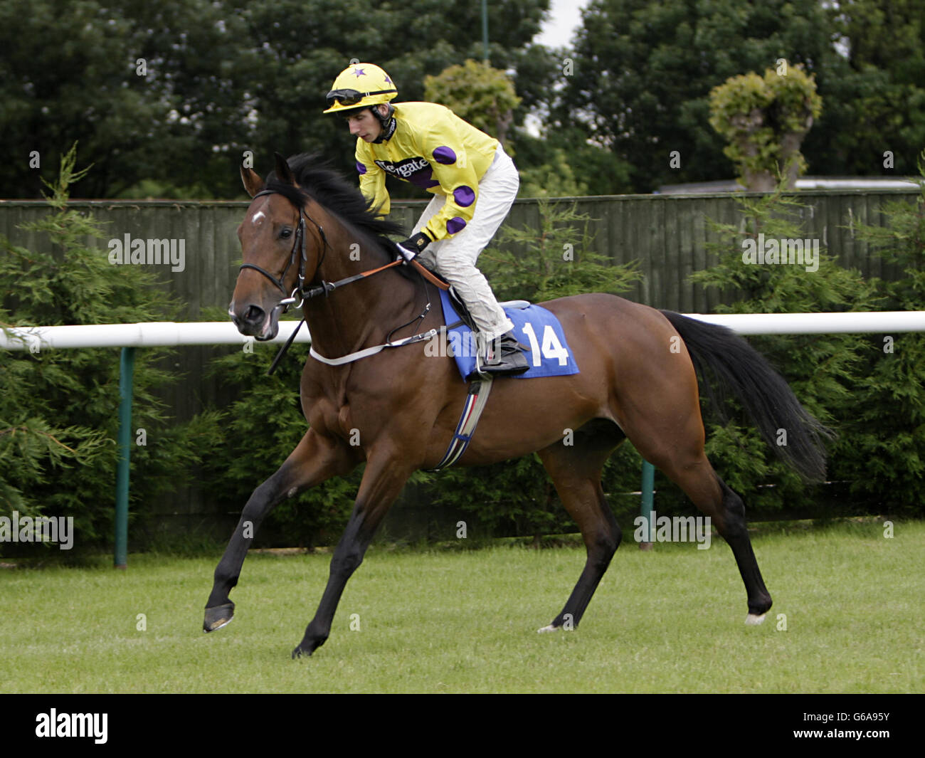Horse Racing - Nottingham Racecourse Stock Photo - Alamy