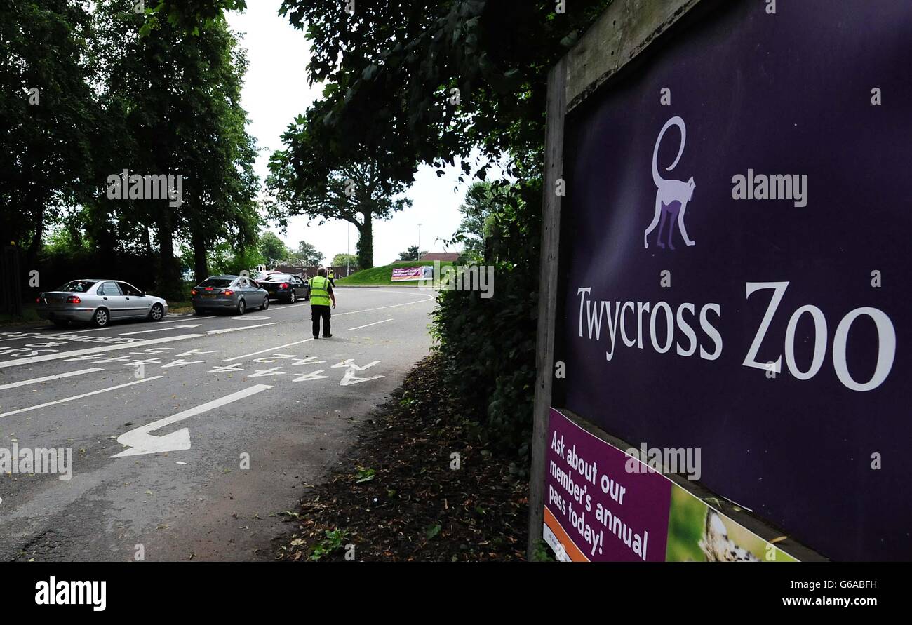 Twycross Zoo closed by Chimpanzee incident Stock Photo - Alamy