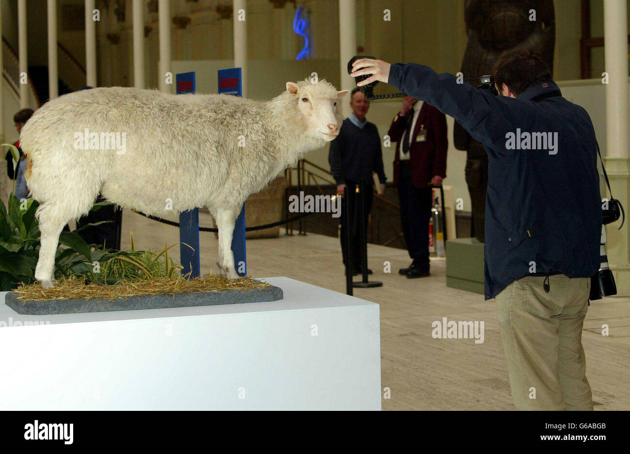 Dolly the sheep museum hi-res stock photography and images - Alamy