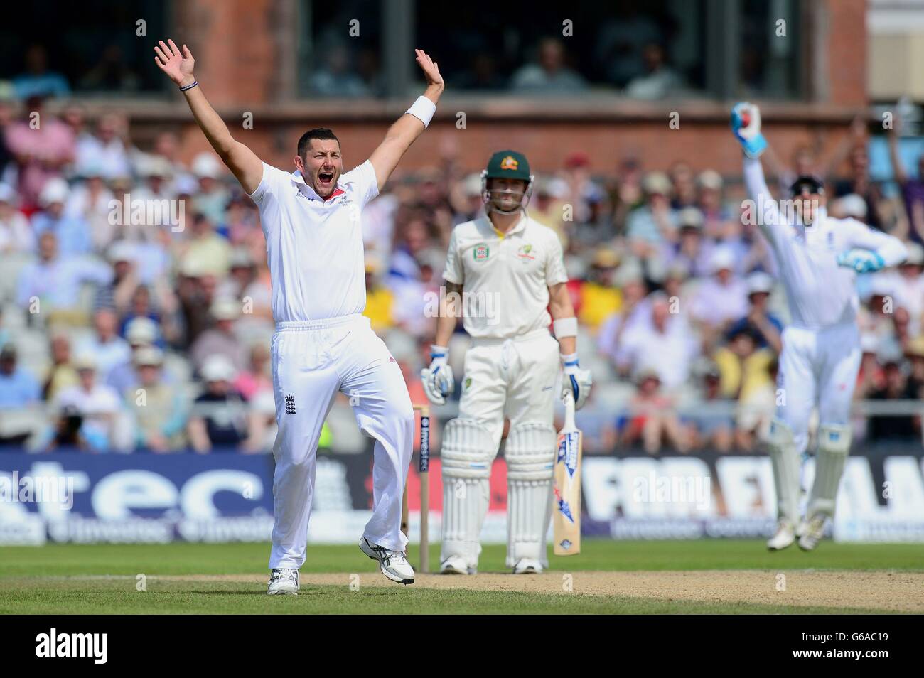 England's Tim Bresnan appeals for the wicket of Australia's Michael ...