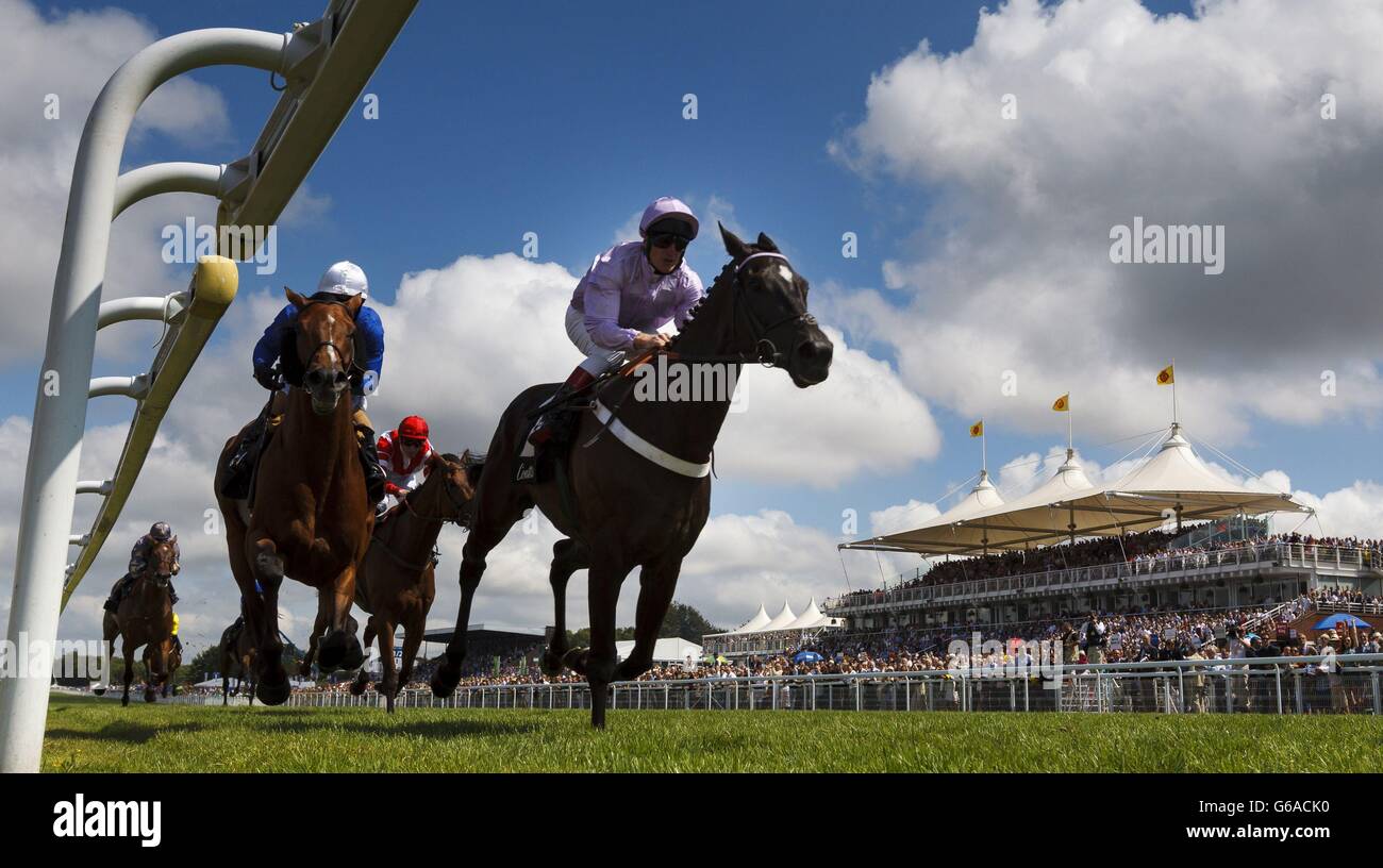 Horse Racing - 2013 Glorious Goodwood Festival - Day Four - Goodwood ...