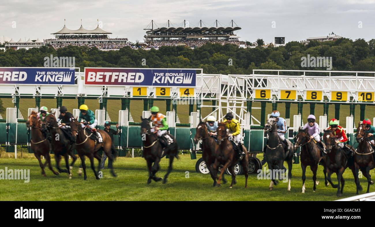 The field bursts out of the stalls for the start of the Betfred Mobile ...