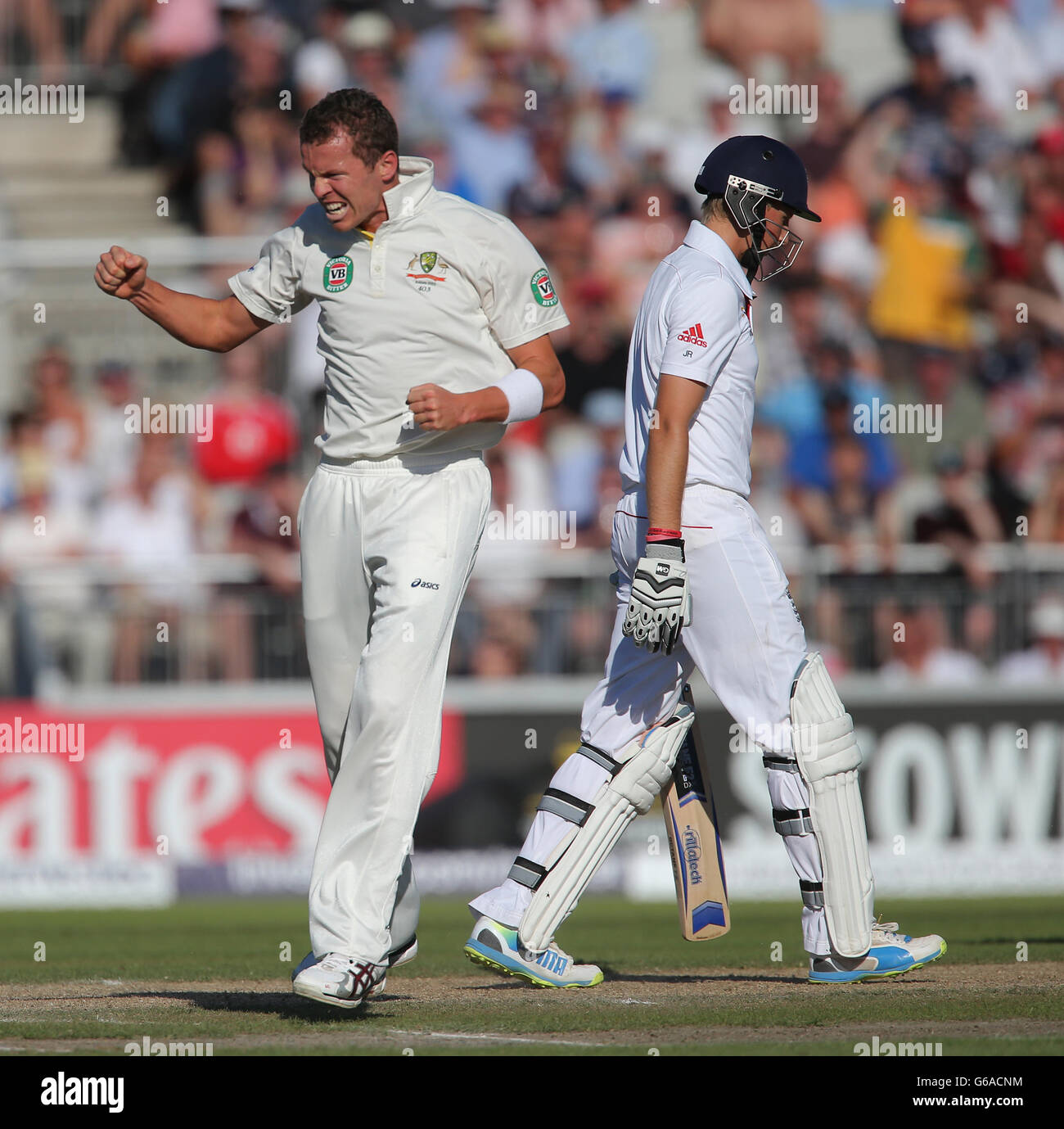 Australia bowler Peter Siddle celebrates taking wicket of England ...