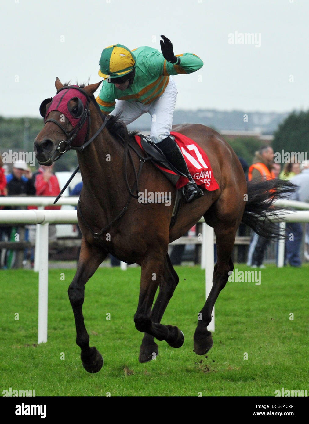 Jockey Niall Madden rides Bruff to victory in the Guinness Galway ...