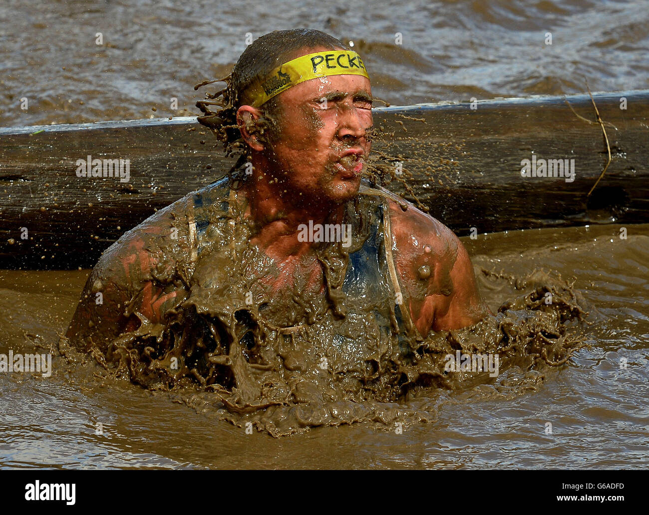 Dunking head hi-res stock photography and images - Alamy