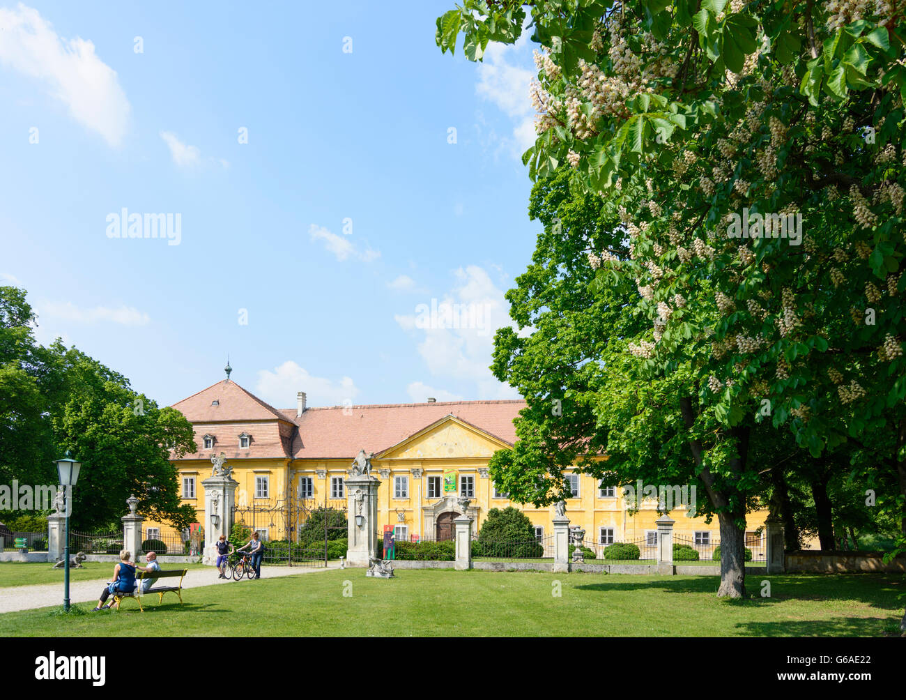 Schloss Marchegg Palace with blooming chestnut tree, Marchegg, Austria ...