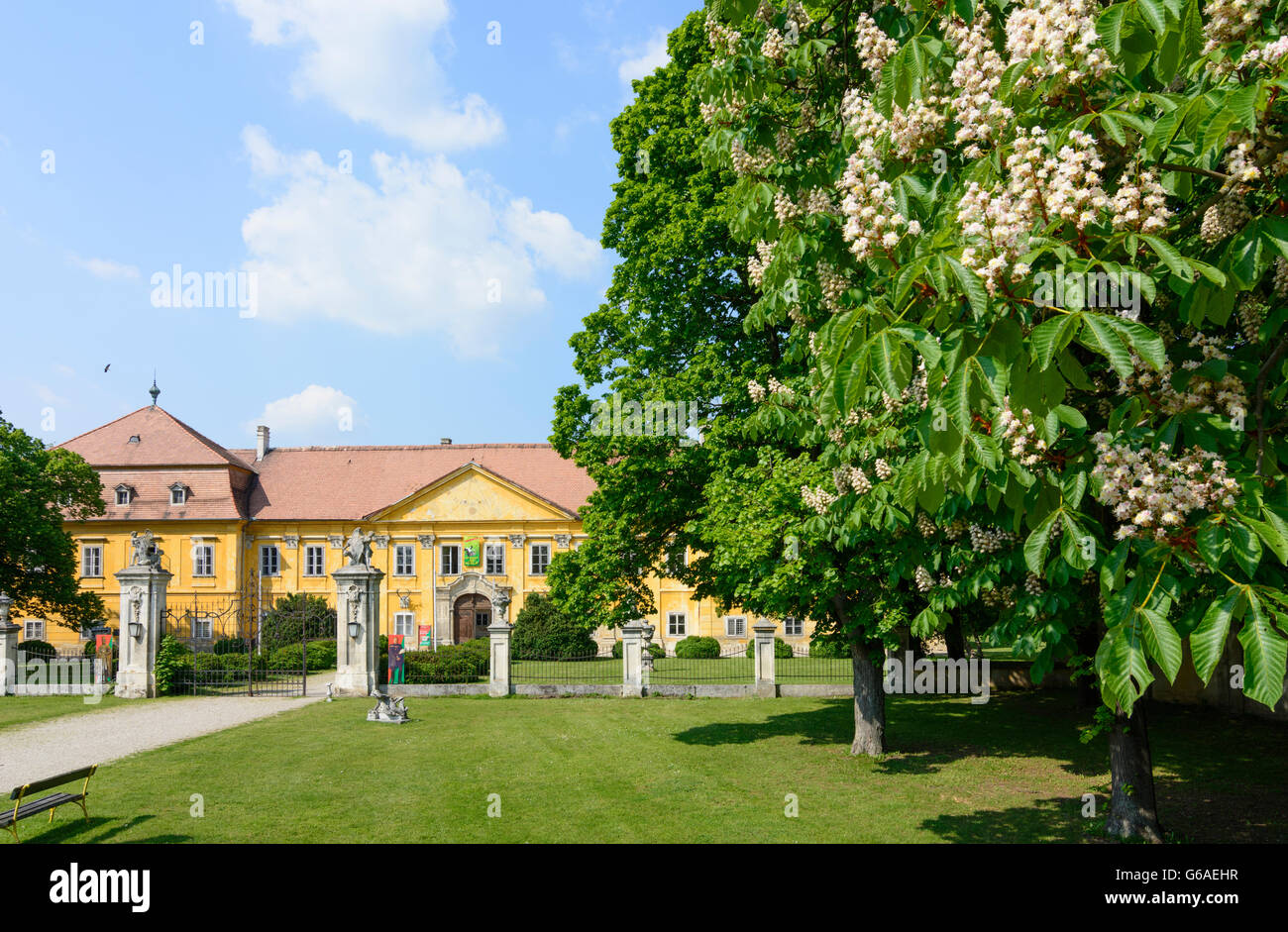Schloss Marchegg Palace with blooming chestnut tree, Marchegg, Austria ...