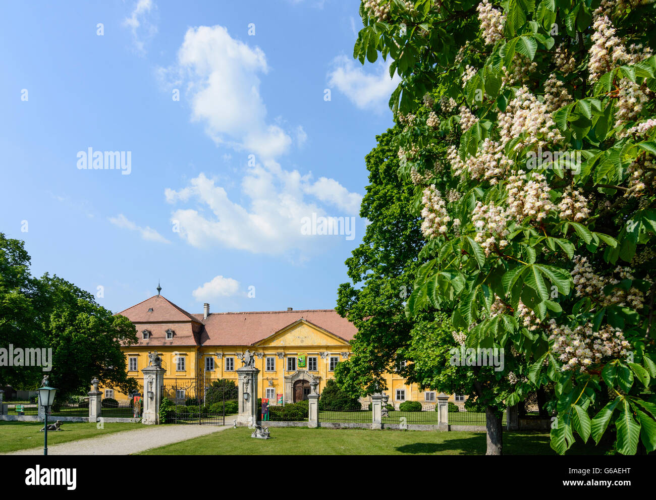 Schloss Marchegg Palace with blooming chestnut tree, Marchegg, Austria ...