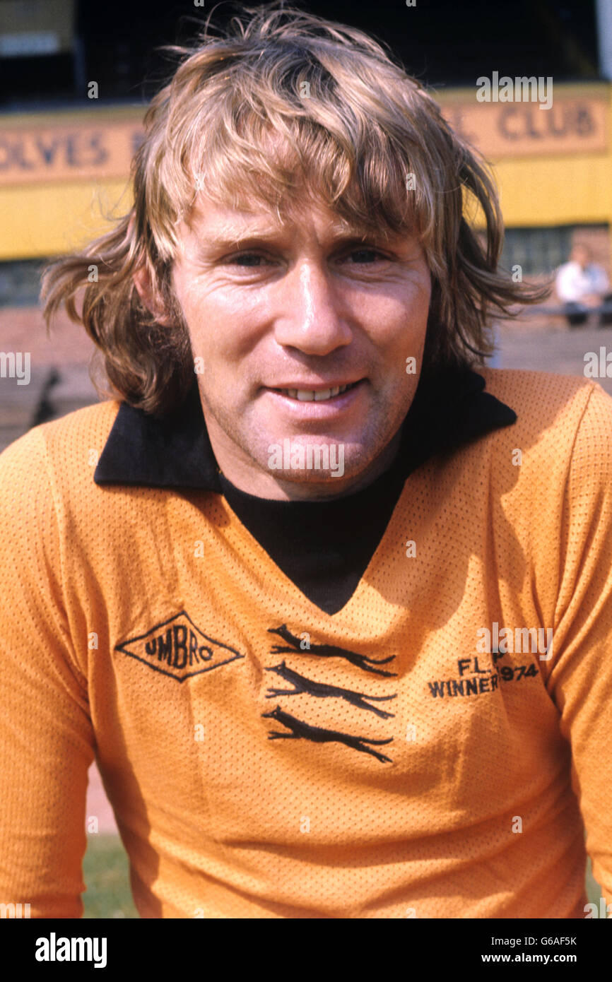 Wagstaffe wolves hi-res stock photography and images - Alamy