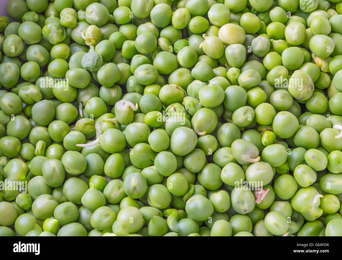 Shelled Green Peas Close up Stock Photo - Alamy