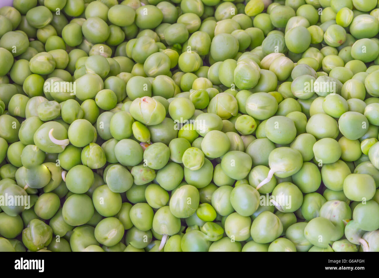 Shelled Green Peas Close up Stock Photo - Alamy