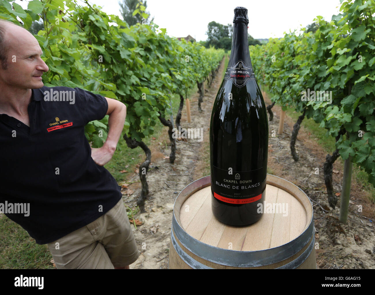 Curiosity: Art and Pleasure of Knowing exhibition Stock Photo - Alamy