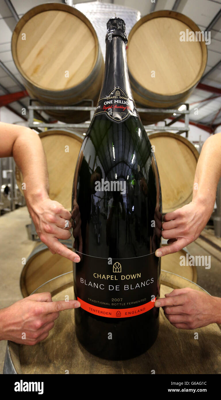 Curiosity: Art and Pleasure of Knowing exhibition Stock Photo - Alamy