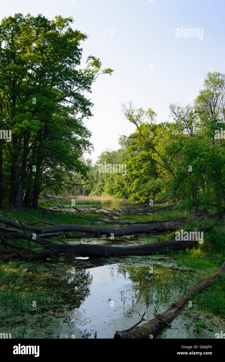 Riverside nature reserve hi-res stock photography and images - Alamy