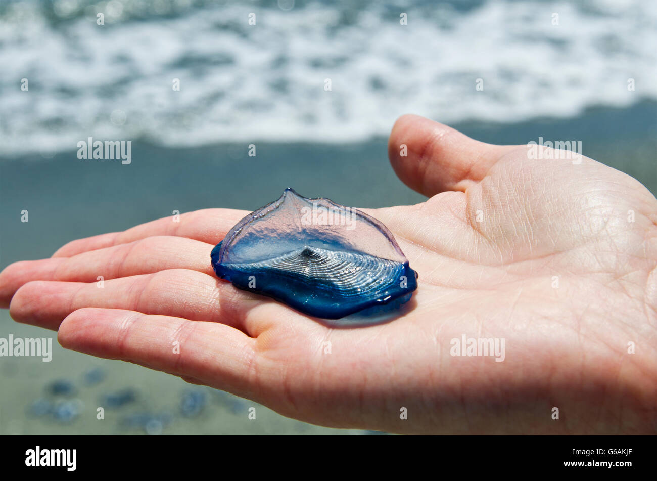 Hand raft hi-res stock photography and images - Alamy