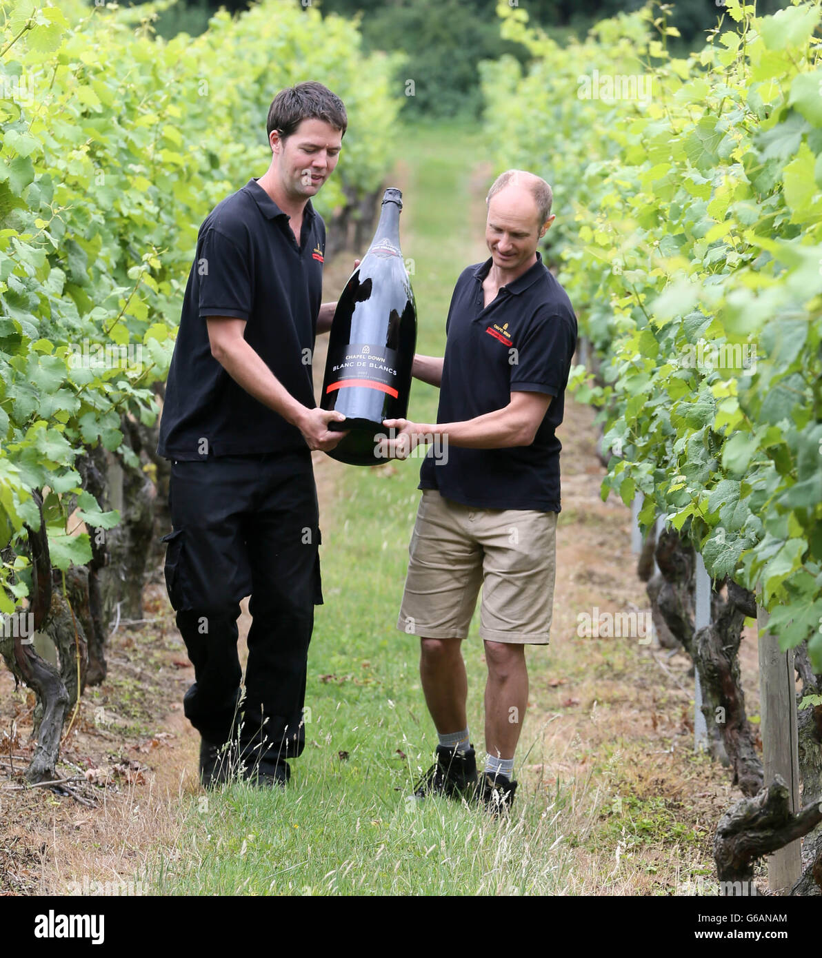 Curiosity: Art and Pleasure of Knowing exhibition Stock Photo - Alamy