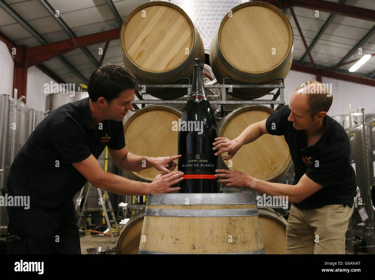 Curiosity: Art and Pleasure of Knowing exhibition Stock Photo - Alamy