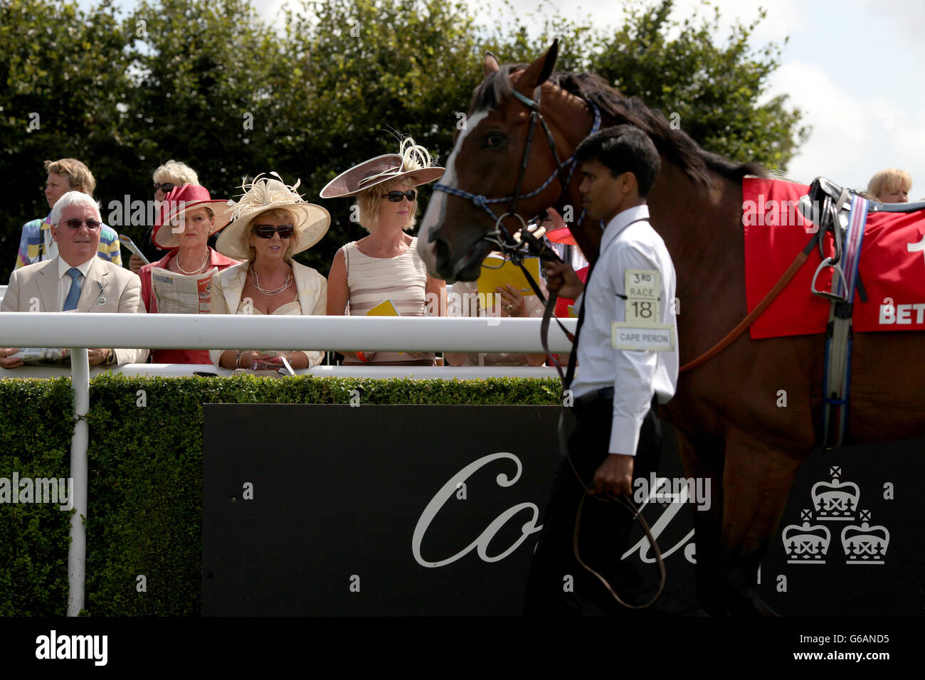 Horse Racing - 2013 Glorious Goodwood Festival - Day Four - Goodwood ...