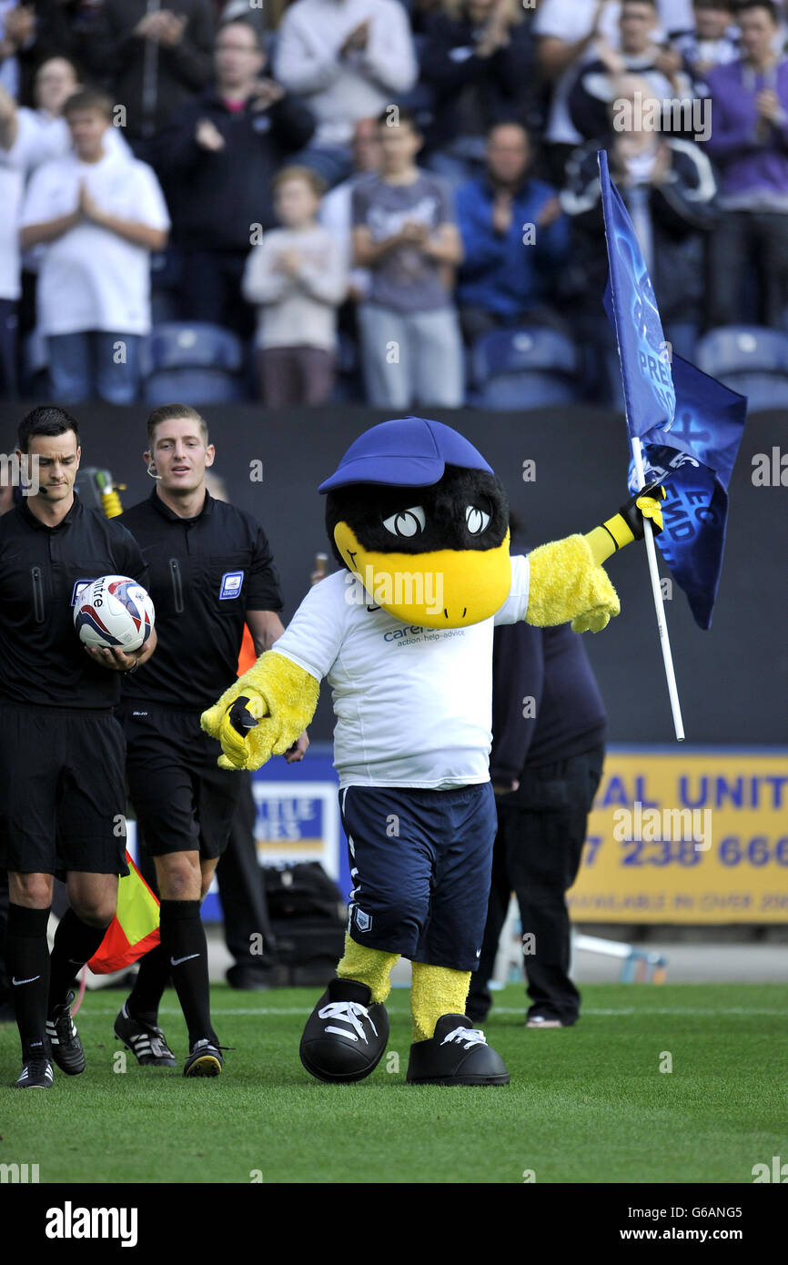 Deepdale duck hi-res stock photography and images - Alamy