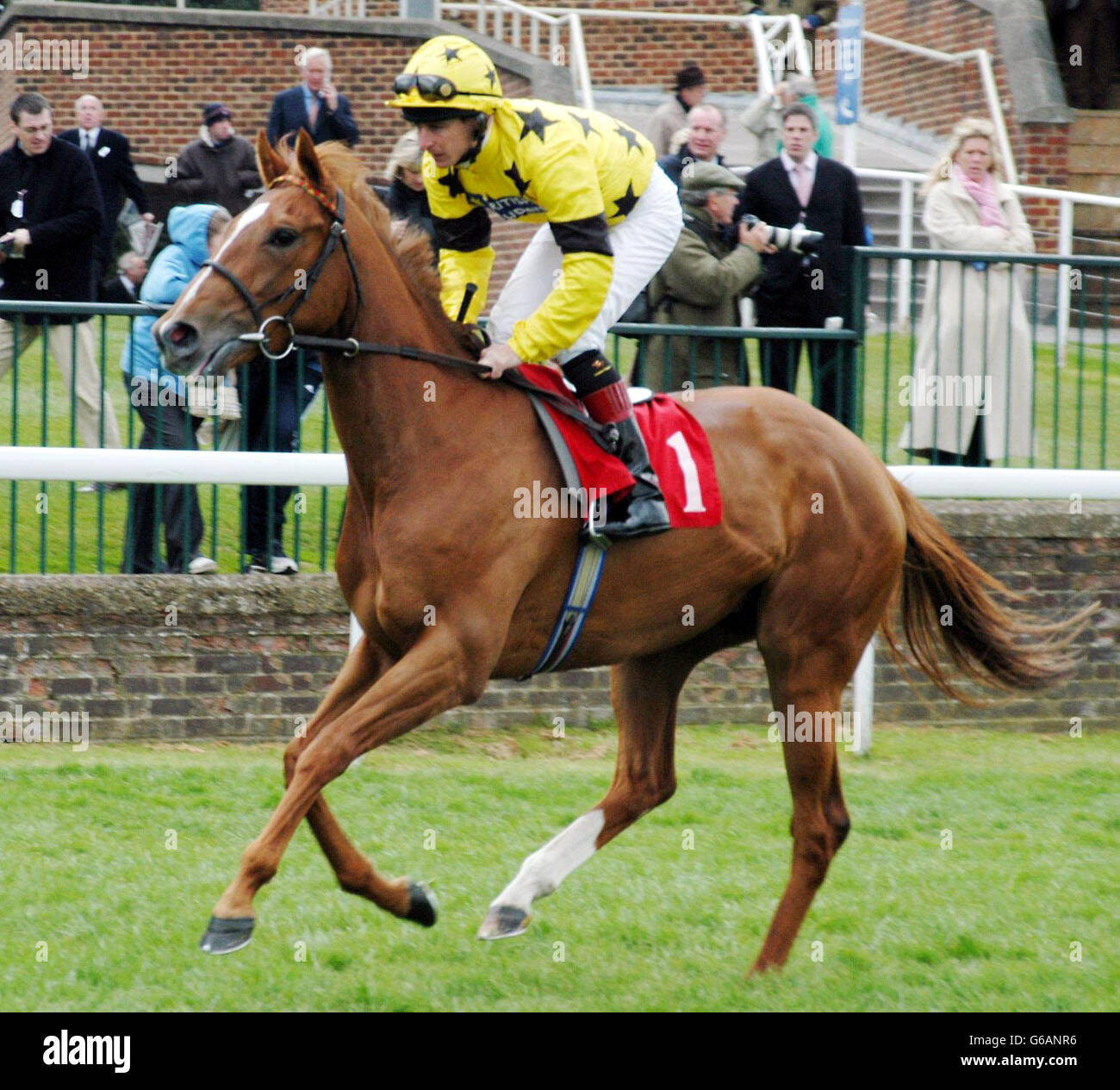 A top class 3 yr fillie, Intercession, Steve Drowne in the plate ...