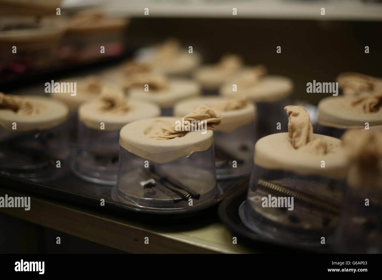 Entomology lab hi-res stock photography and images - Alamy