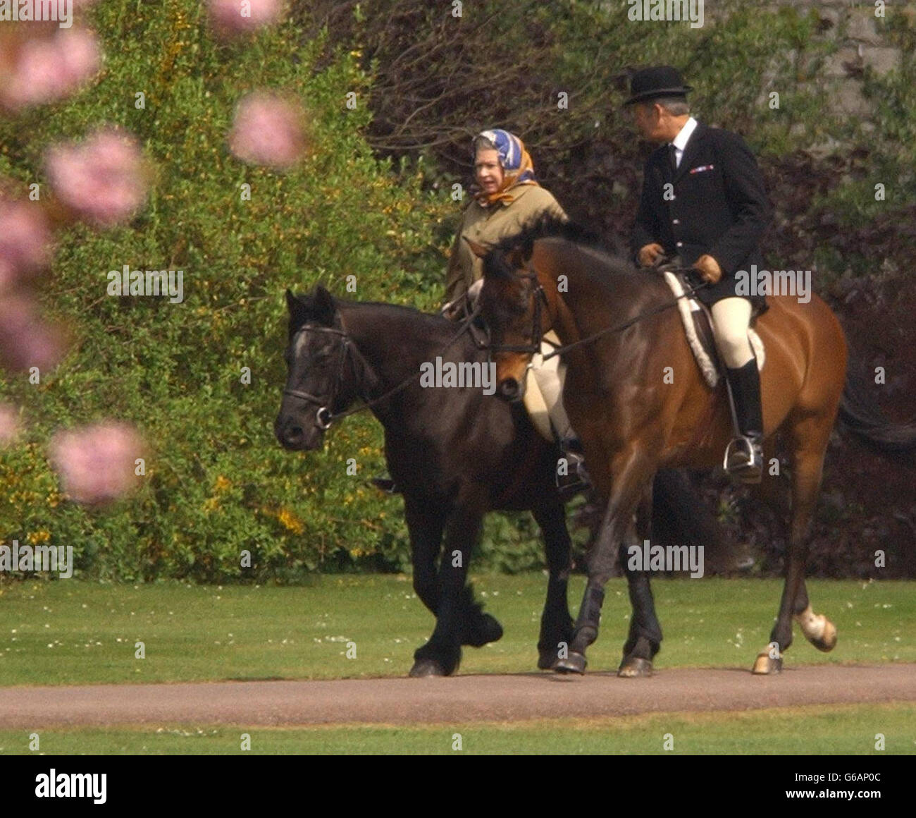 Queen - Riding at Windsor Castle Stock Photo - Alamy