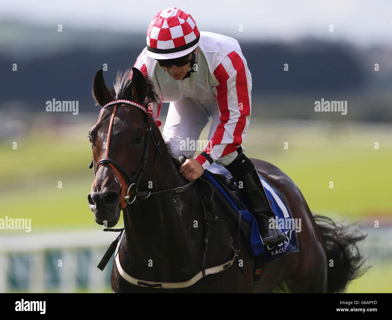 Slade Power ridden by Wayne Lordan wins The Irish Stallion Farms ...