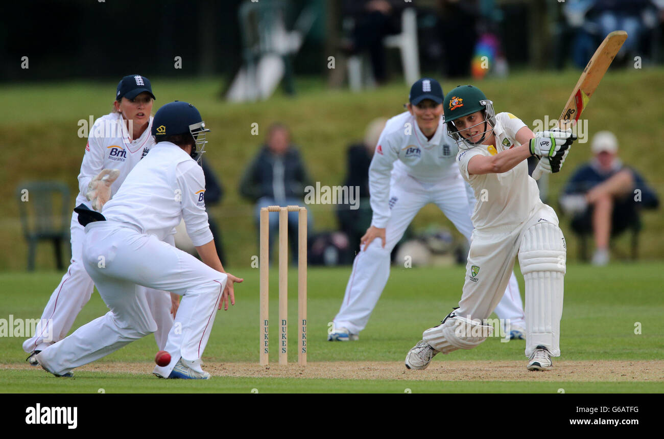 Beck Bennett Short Legs