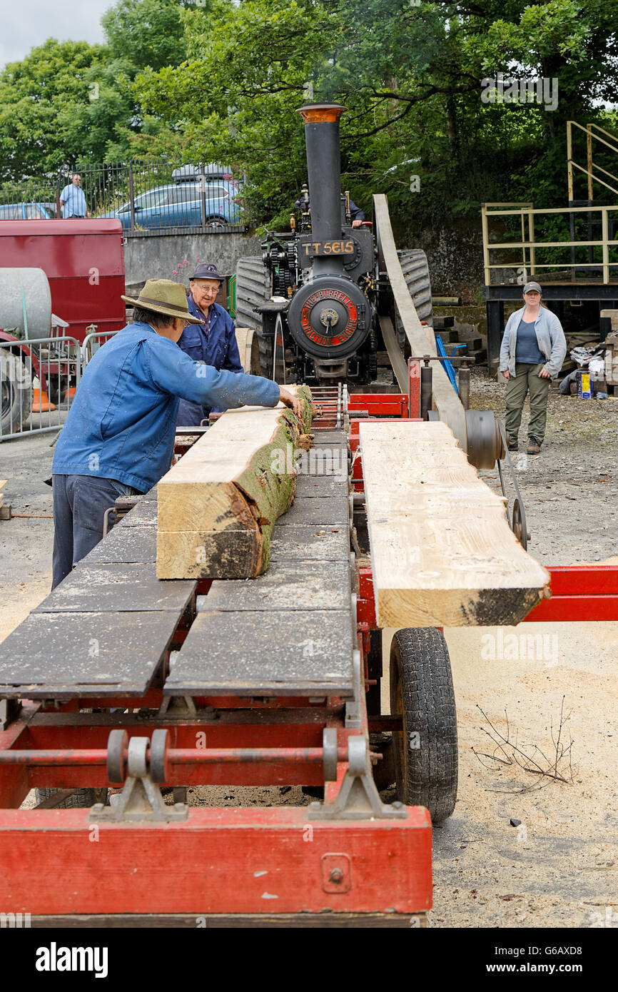 Log slide hi-res stock photography and images - Alamy