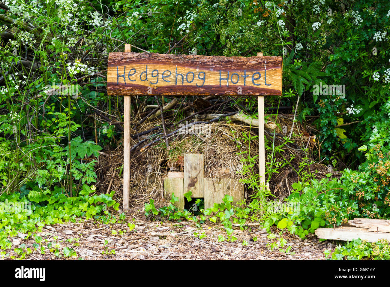 Hedgehog hotel hi-res stock photography and images - Alamy