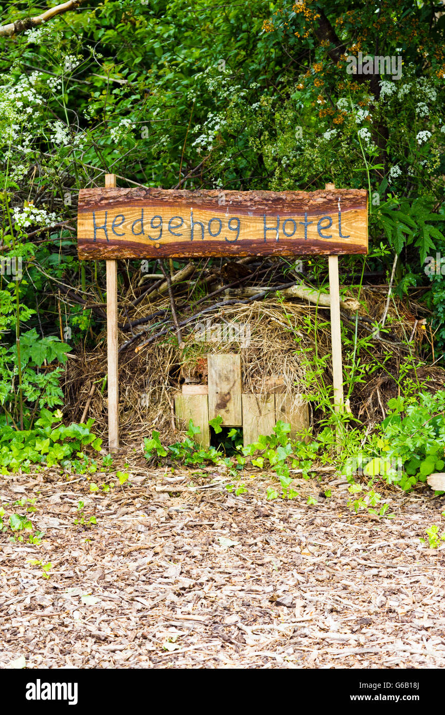 Hedgehog "hotel" (shelter built specifically for hedgehogs Stock Photo ...