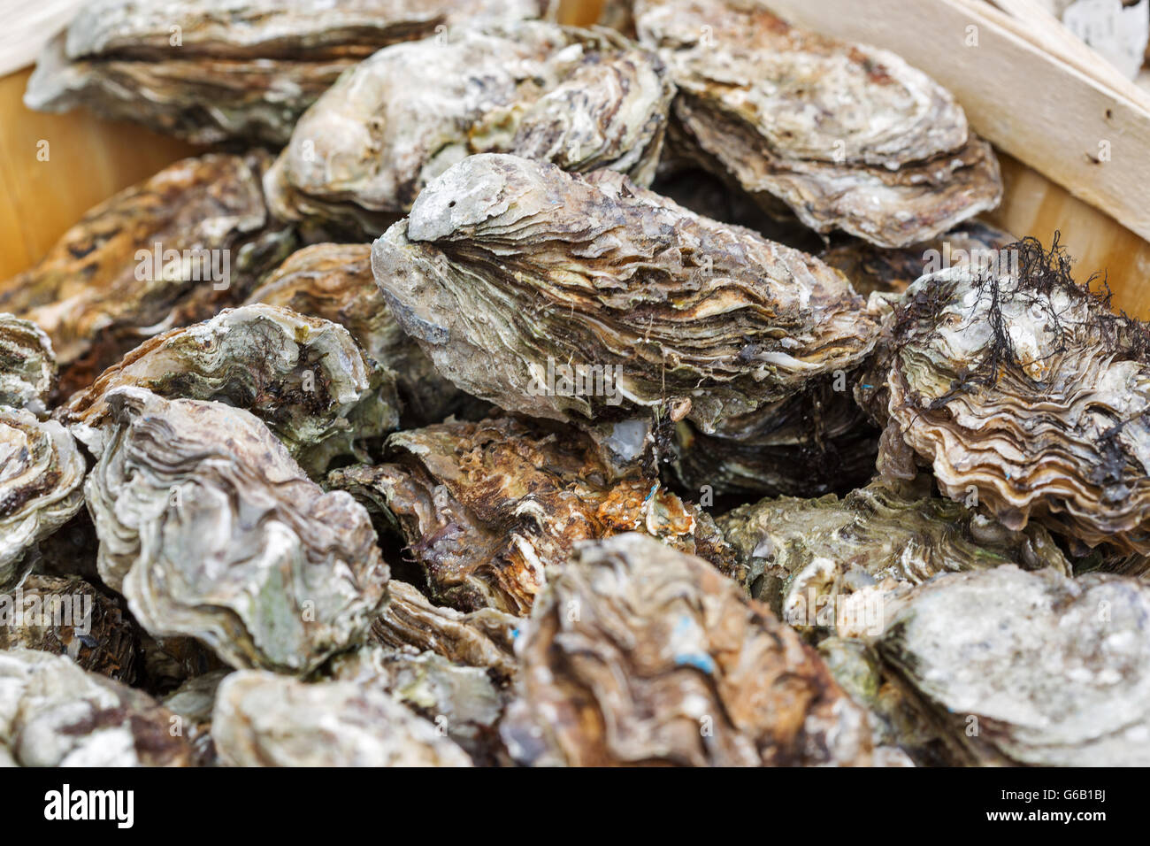 The oyster box hi-res stock photography and images - Alamy