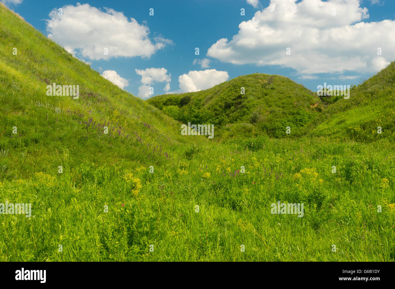 June landscape hi-res stock photography and images - Alamy