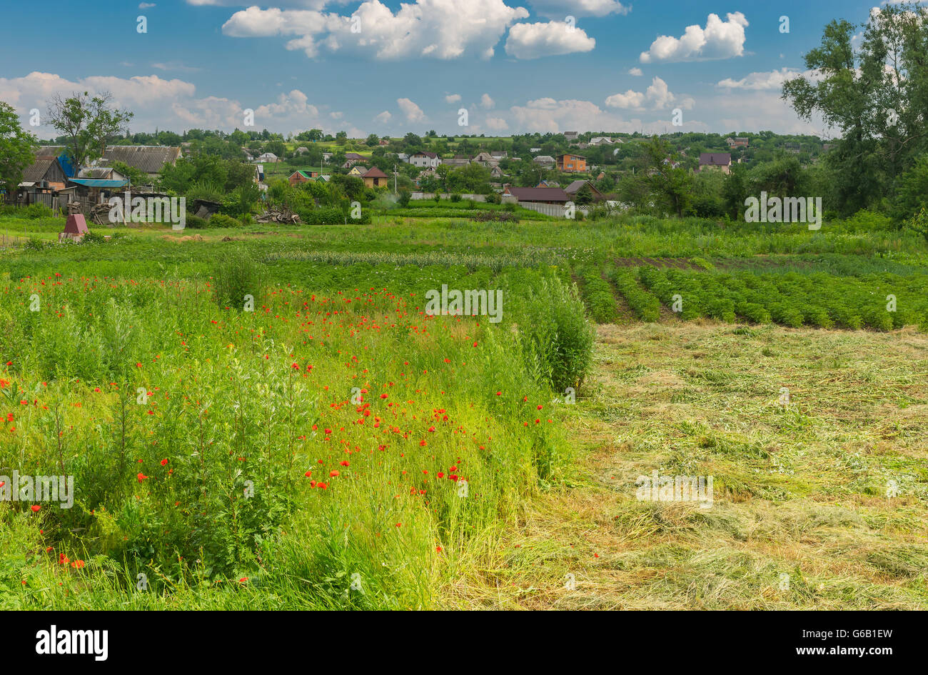 June landscape hi-res stock photography and images - Alamy