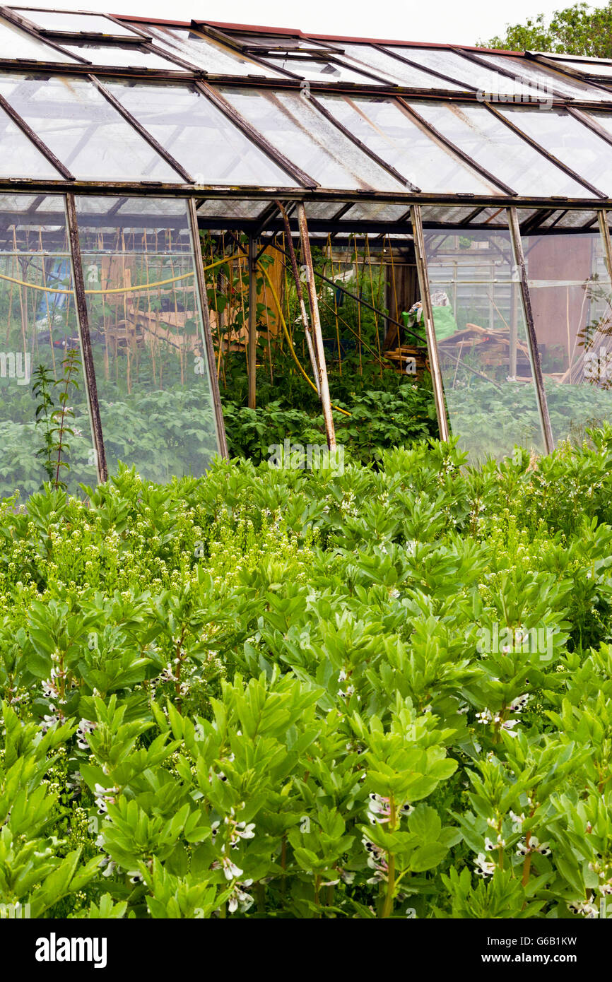 Large scale horticulture hi-res stock photography and images - Alamy