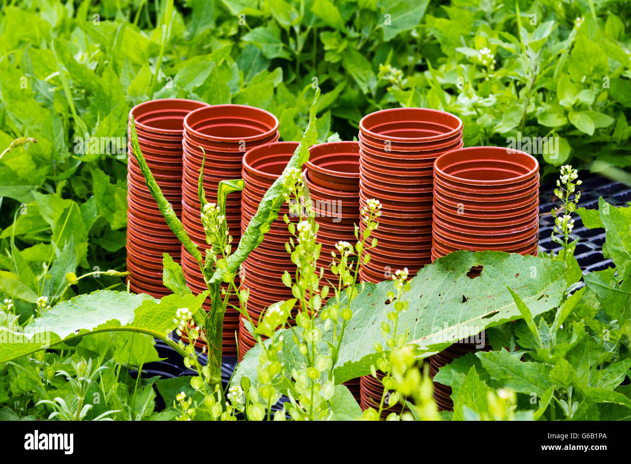 Plastic pot stack hi-res stock photography and images - Alamy