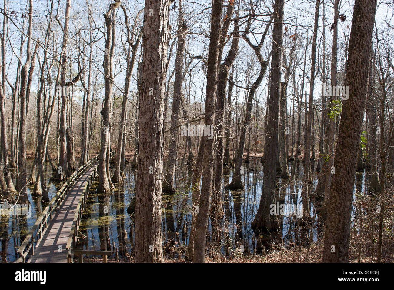 Footbridge through swamp Stock Photo - Alamy