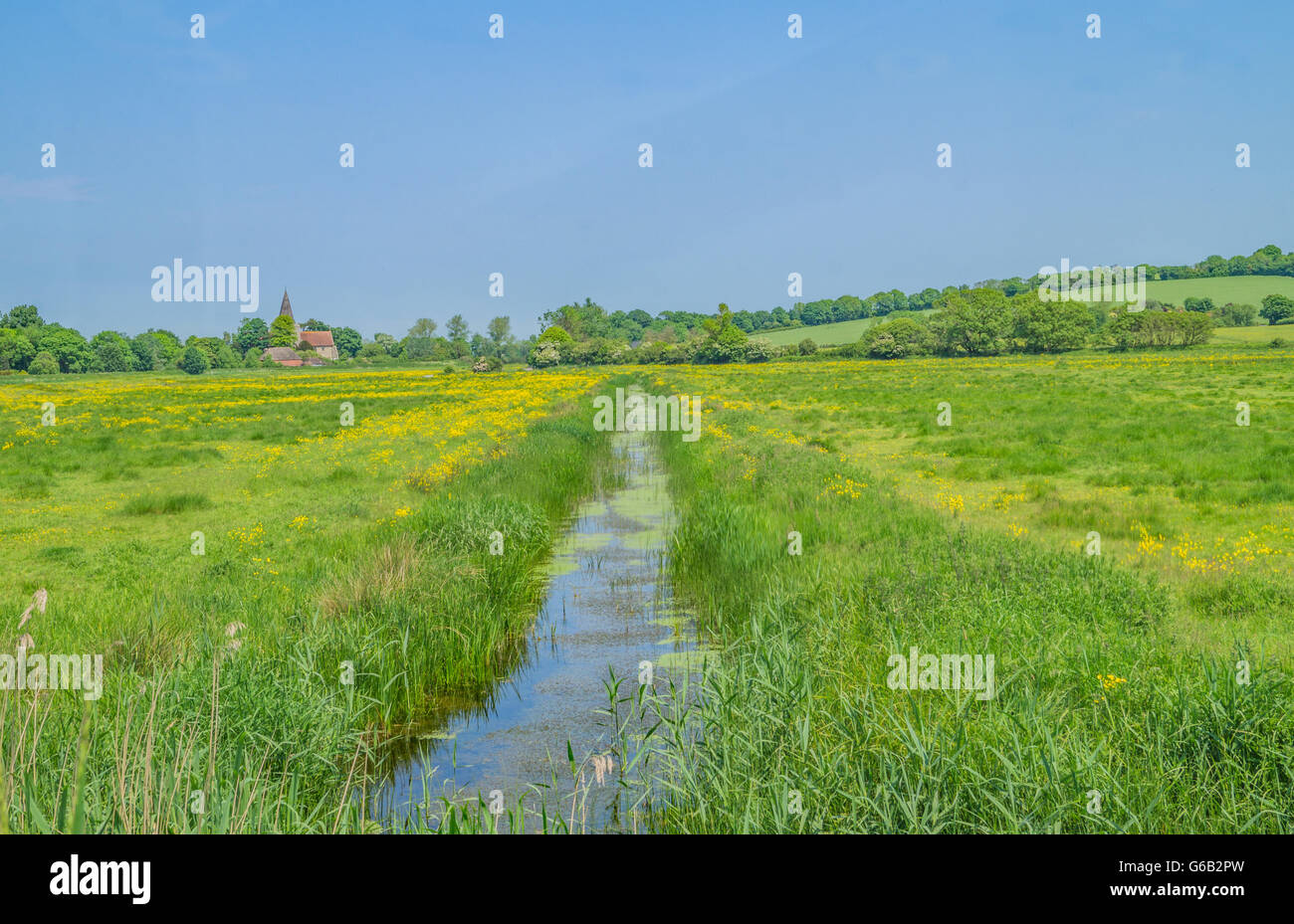 Landscape stream reeds along hi-res stock photography and images - Alamy