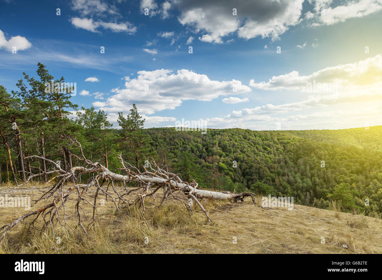 Russian national park countryside landscape with mountain forest Stock ...