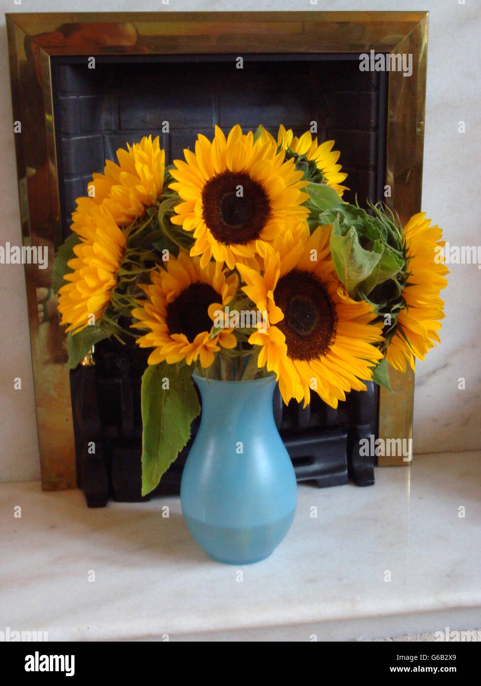Sunflowers in blue vase Stock Photo - Alamy