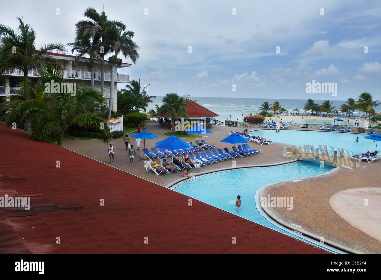 Jamaica trees caribbean hi-res stock photography and images - Alamy