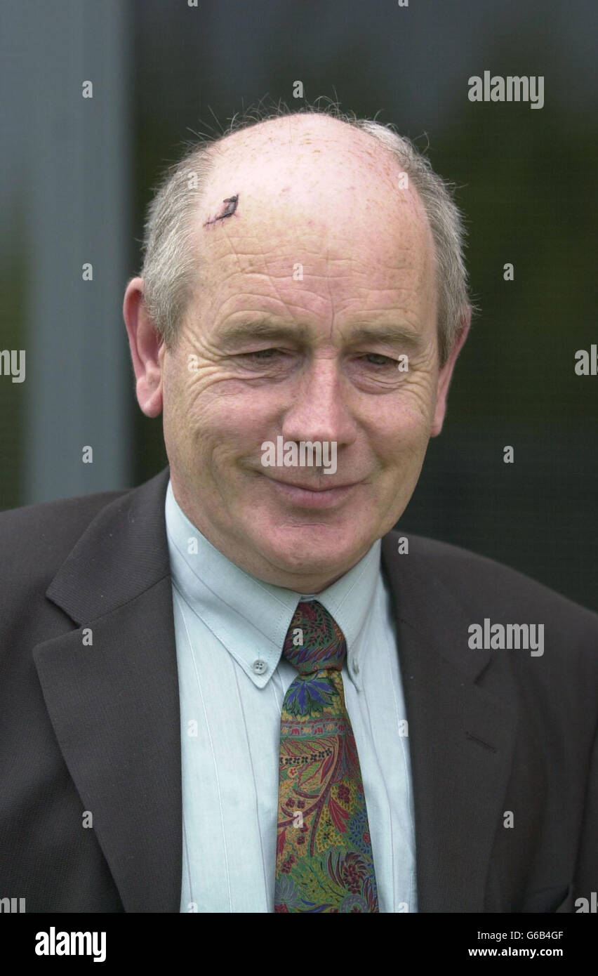 Morris tribunal hi-res stock photography and images - Alamy