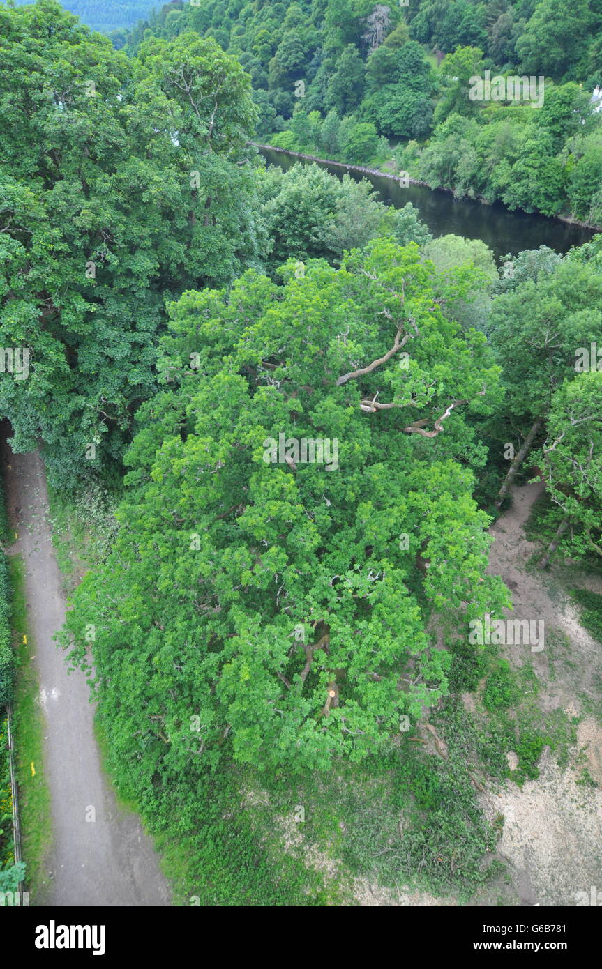 Macbeth ancient hi-res stock photography and images - Alamy