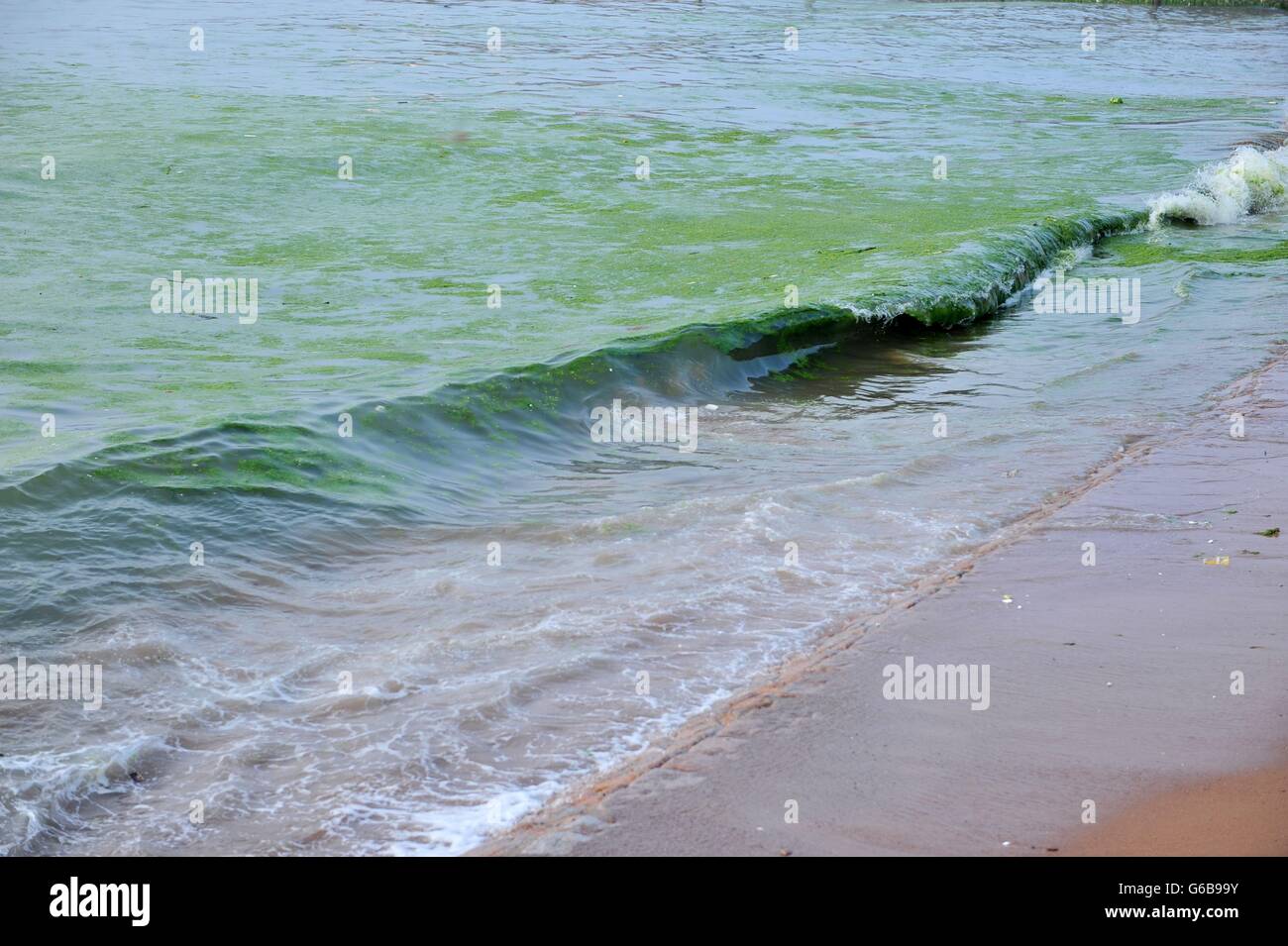 Qingdao, China. 24th June, 2016. Qingdao, China - June 24 2016 ...