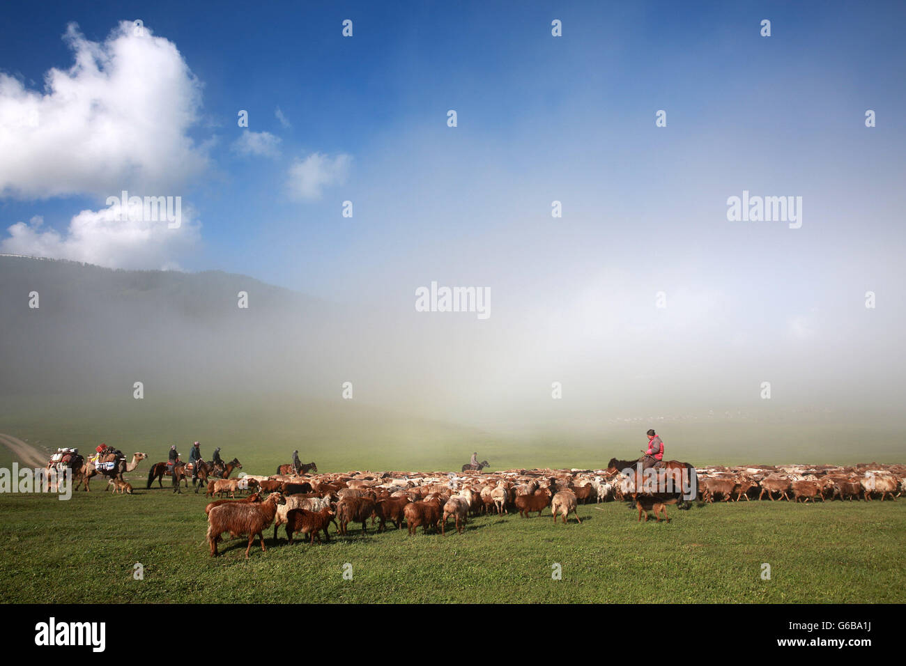 Altay, China's Xinjiang Uygur Autonomous Region. 22nd June, 2016 ...