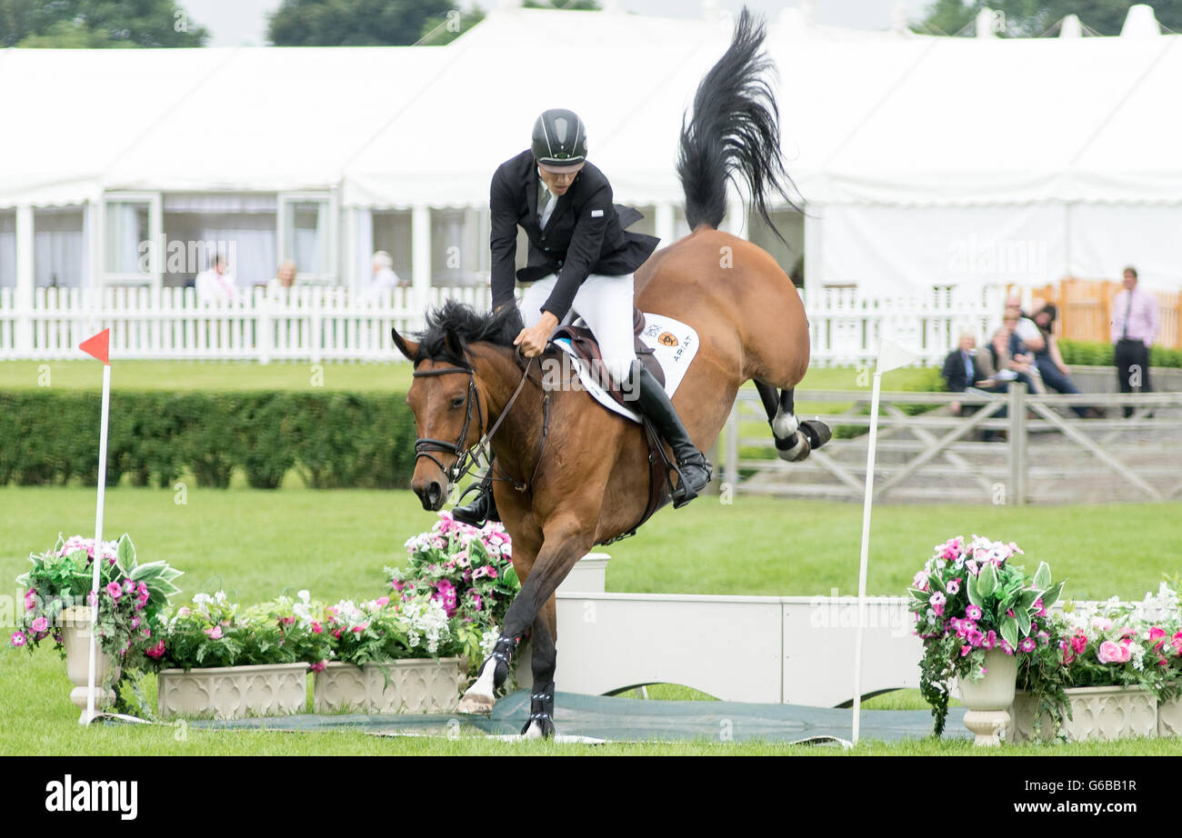 Lincolnshire, UK. 23rd June, 2016. Showers, Dancing JCB Diggers, Horse ...